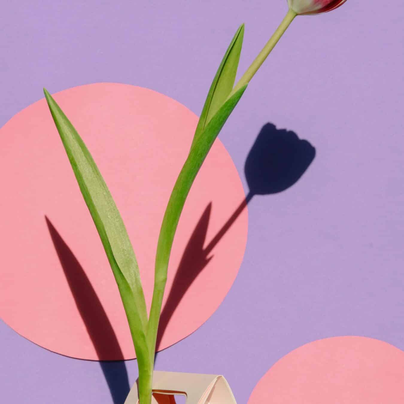 Why Set Up A Shadow Board Of Directors | Inkling Group