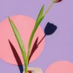 Why Set Up A Shadow Board Of Directors | Inkling Group