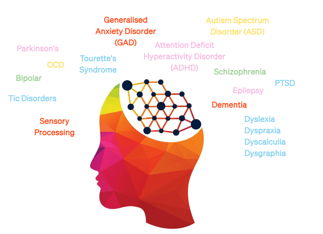 Neuro-inclusion in the Workplace | Inkling